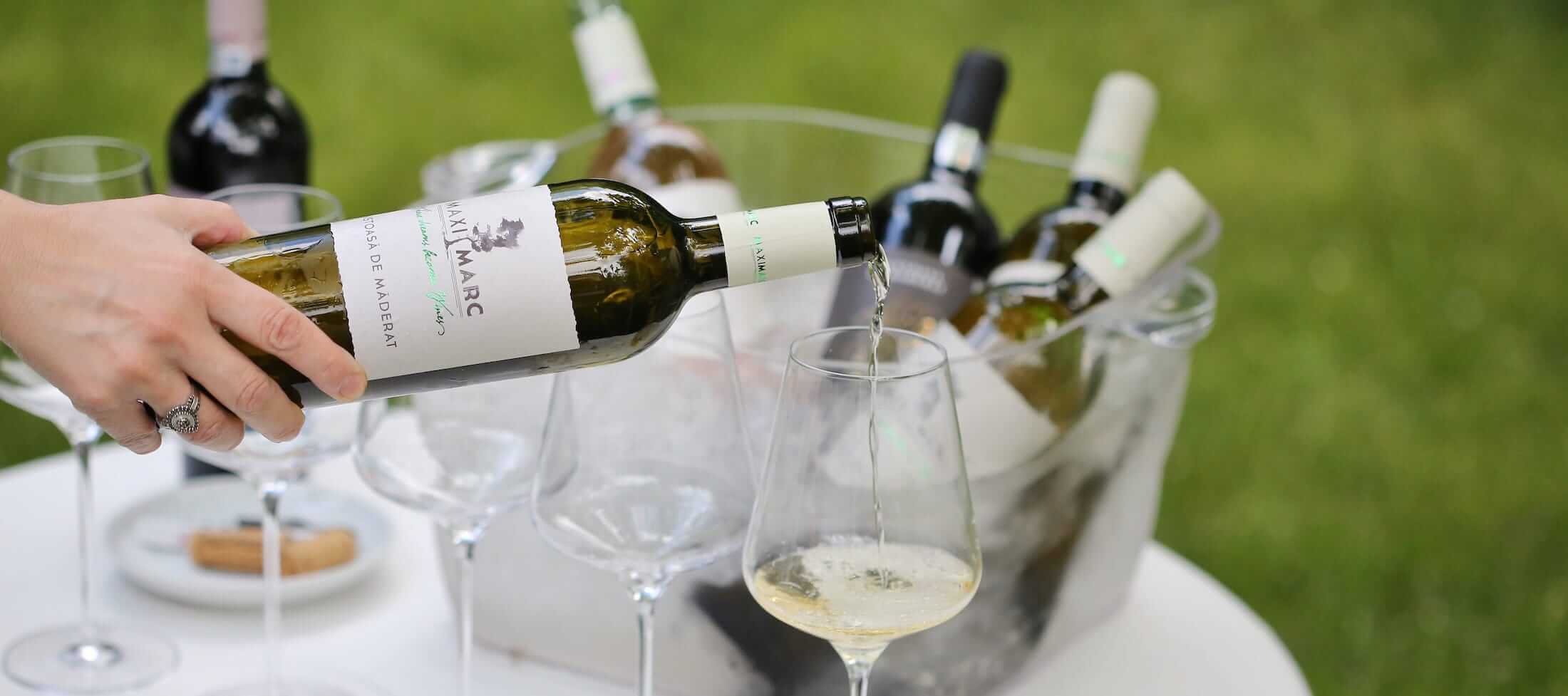 Vinuri pentru orice ocazie | Crama MaxiMarc